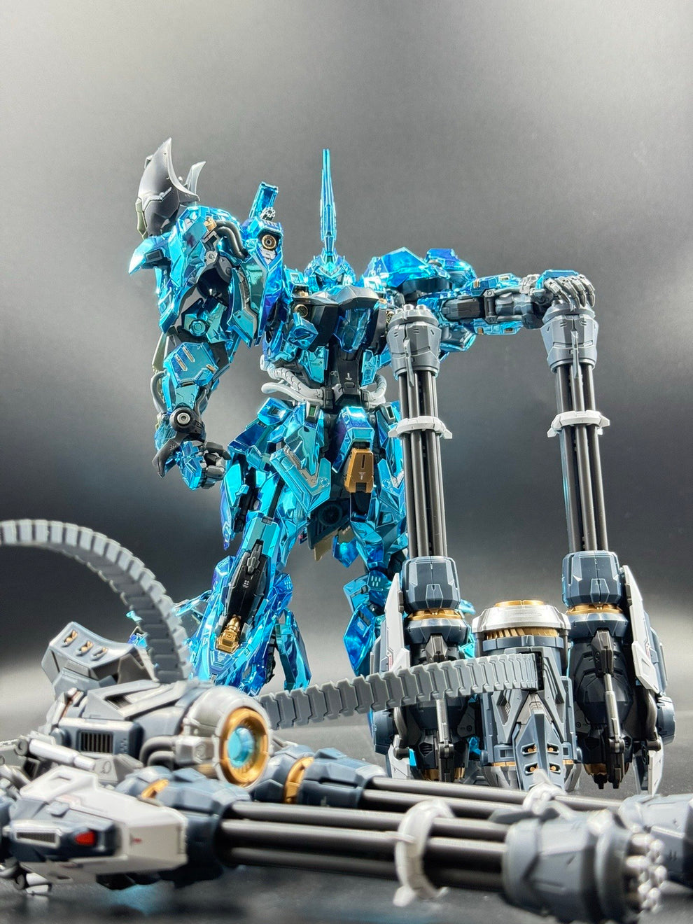 [Color customization collection] Infinite Dimension Lizard normal vers ...